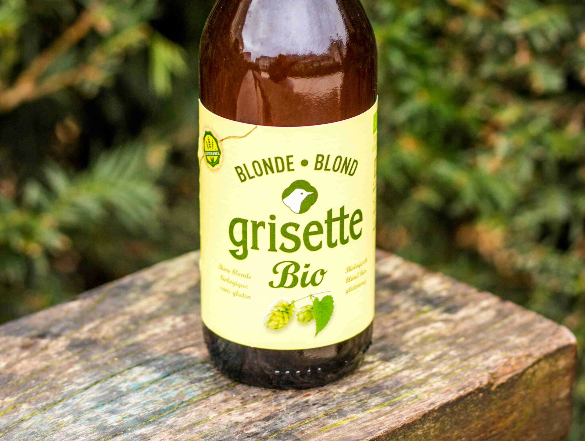 Grisette Blonde BIO 12 x 25cl - Brasserie St-Feuillien